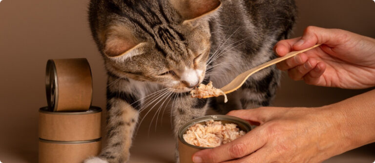 Smalls Cat Food Review: Ingredients, Varieties, and Benefits