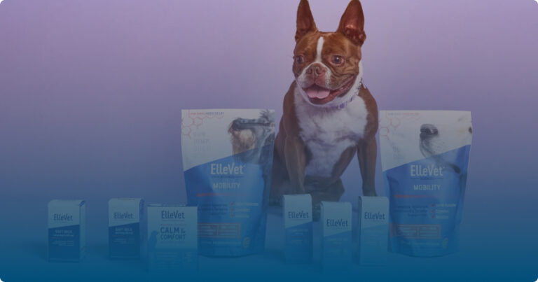 ElleVet CBD Products Review: CBD Oil and CBD Chews