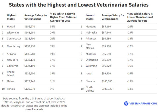 Veterinarian Salary in 2024: The Highest and Lowest Paying U.S. States ...