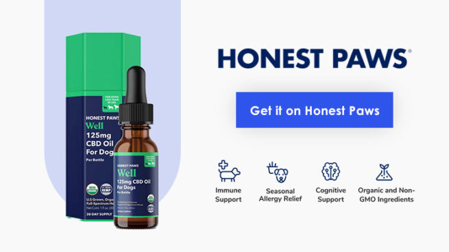 Best CBD Oils For Dog Seizures