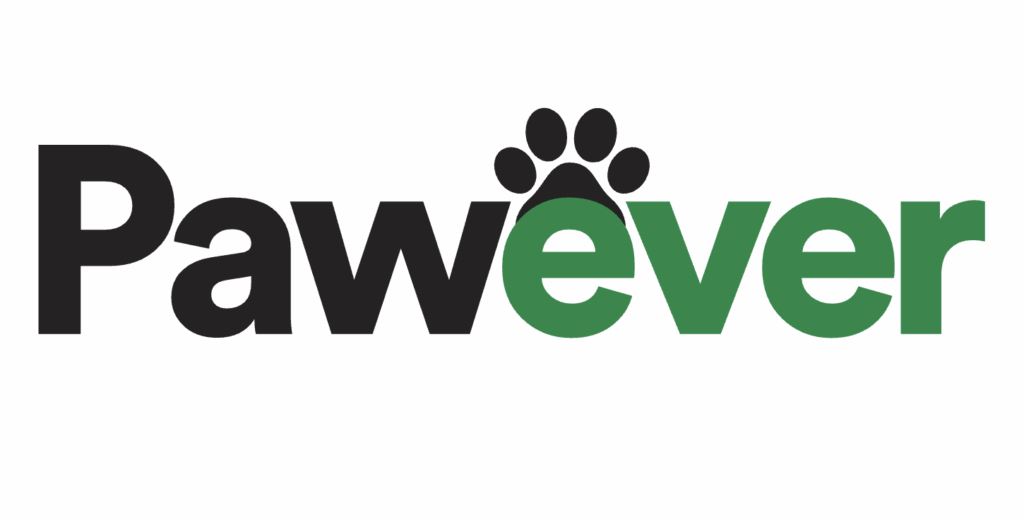 Prednisone for Dogs: All You Need to Know - TotalVet